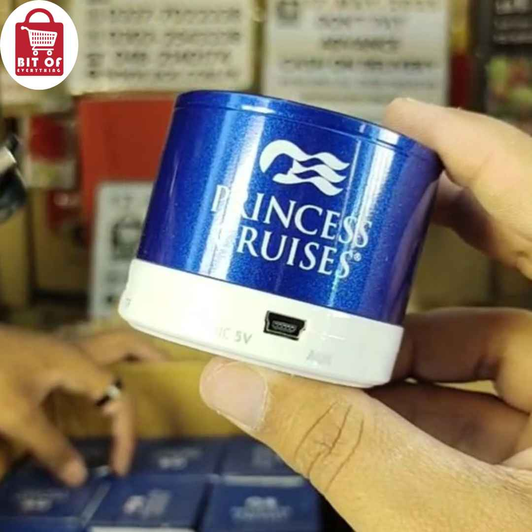 PRINCESS SPEAKER - BIT OF EVERYTHING – BIT OF EVERYTHING